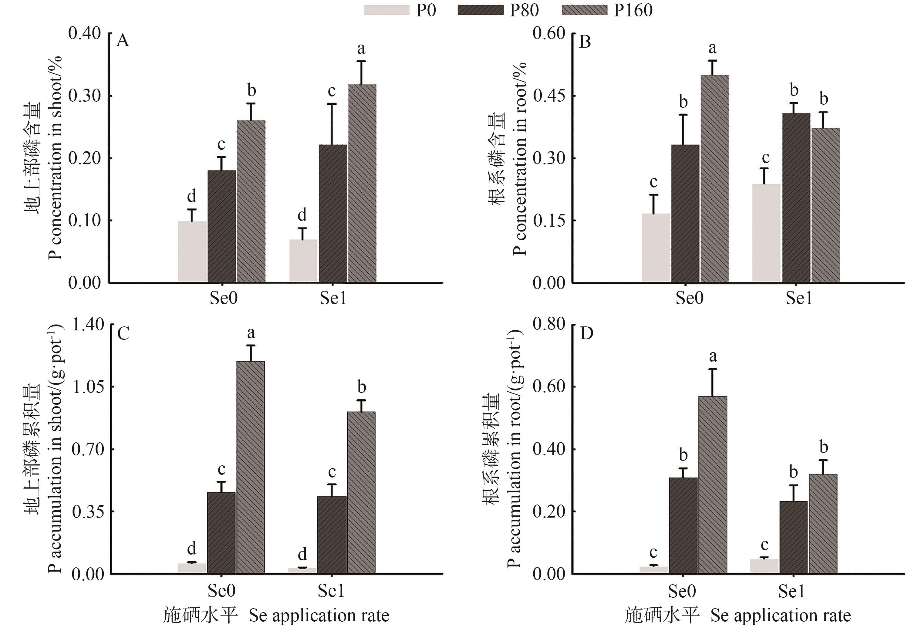磷、硒配施对冬小麦硒吸收及土壤硒形态转化的影响